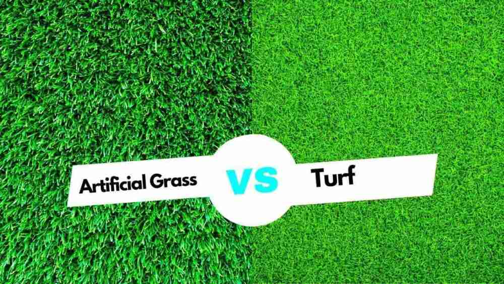 Artificial Grass vs Turf: What's the Best Choice? – Green Grass Store